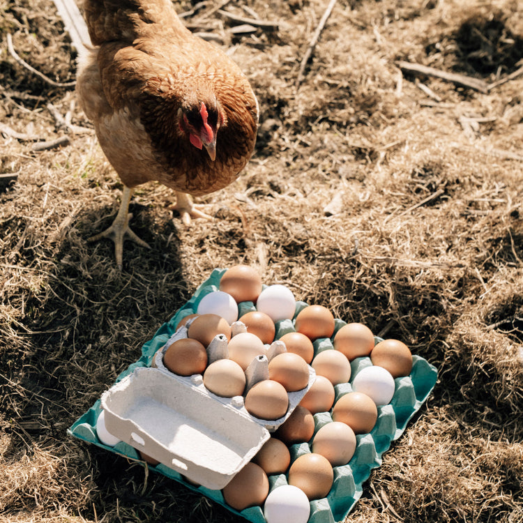 Hill Farm Real Food. For all your superfood needs